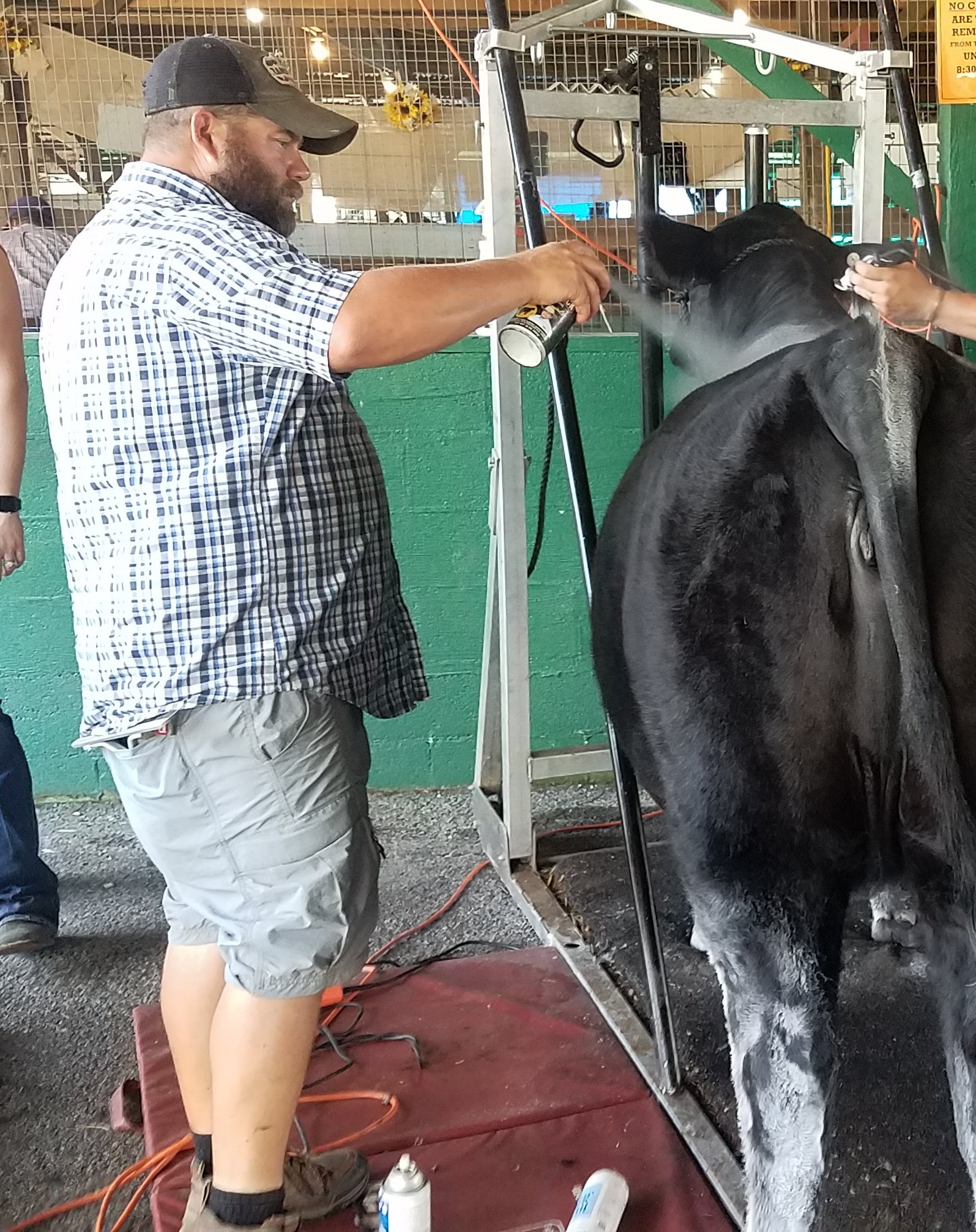 Stock Show Crew: Which One Are You? | Kelly Writing